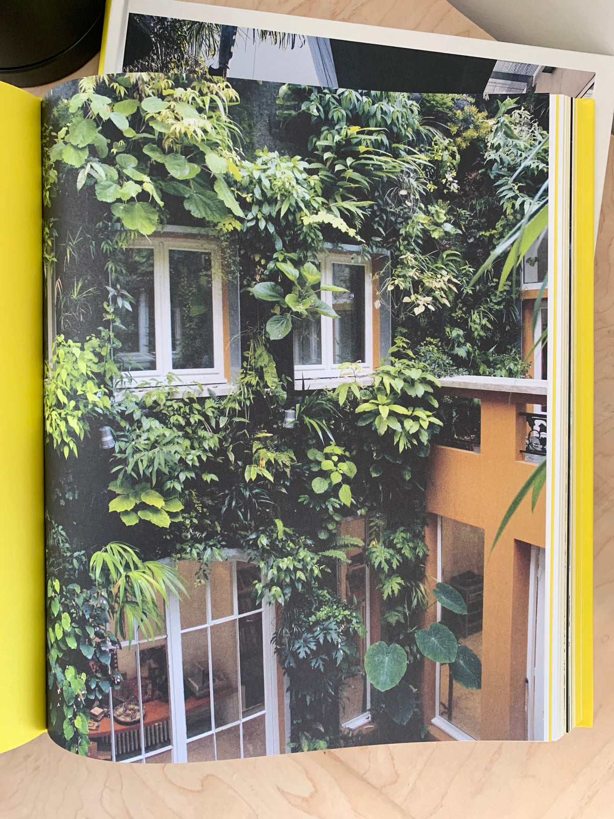 Botanical Buildings: When Plants Meet Architecture – Foliage