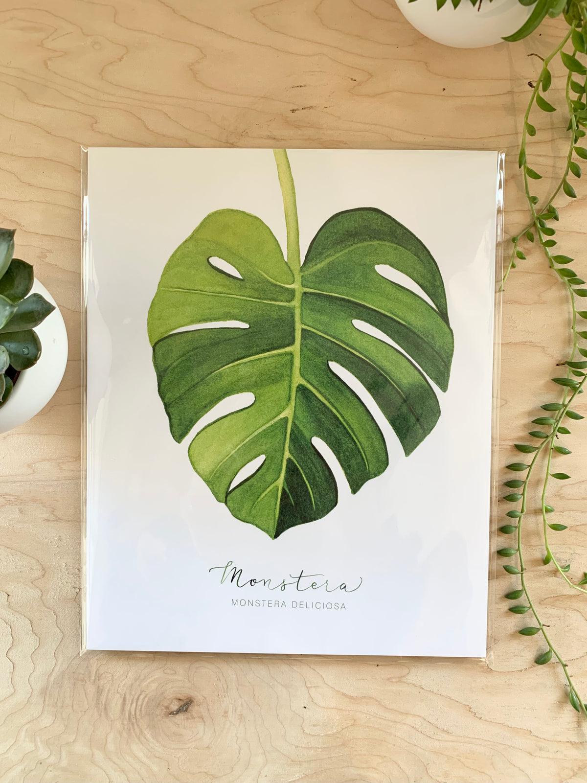 Monstera Art Print | Foliage